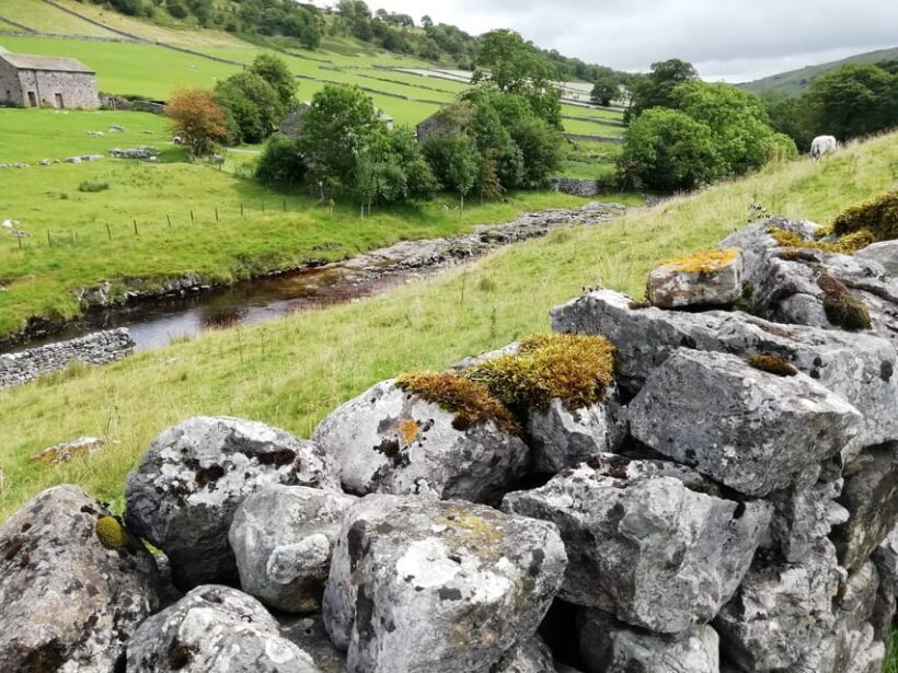 York: "All Creatures Great and Small" Yorkshire Dales Tour - Who Is This Tour Best For?