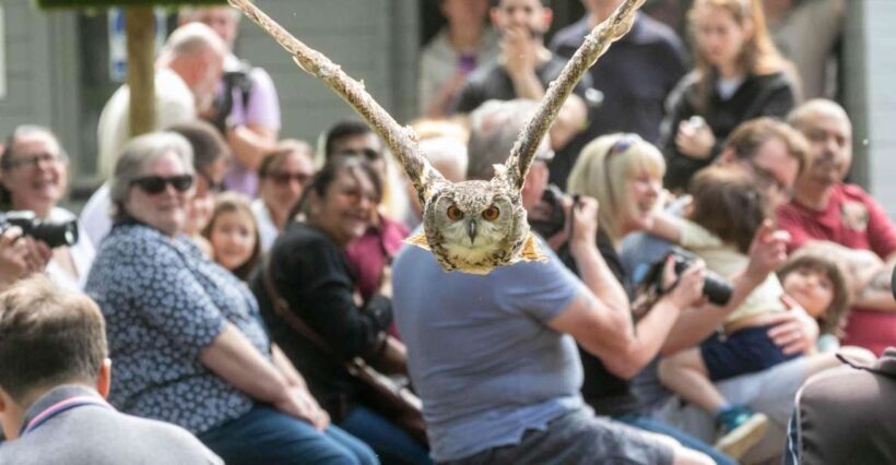 York: Entry to York bird of prey centre - Introduction