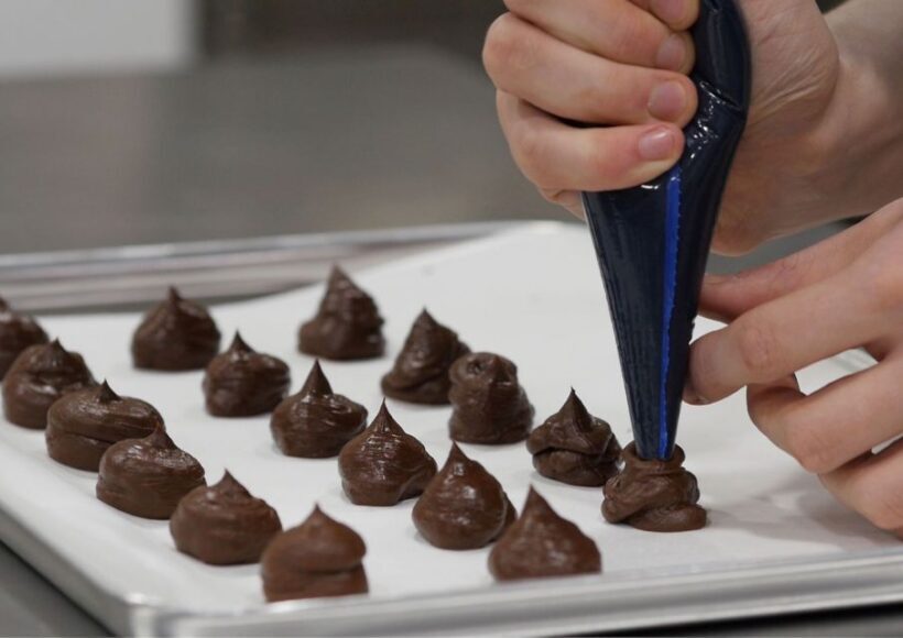York: Introduction to Chocolate Making Experience - An In-Depth Look at the Chocolate Making Experience