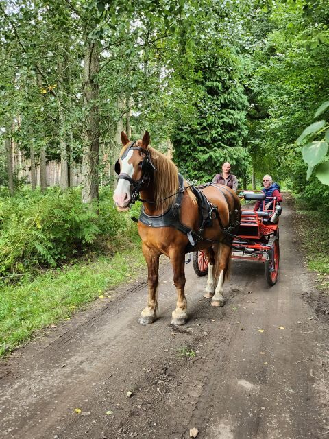 York: Private Horse-Drawn Carriage Ride and Afternoon Tea - Who Should Consider This Tour?