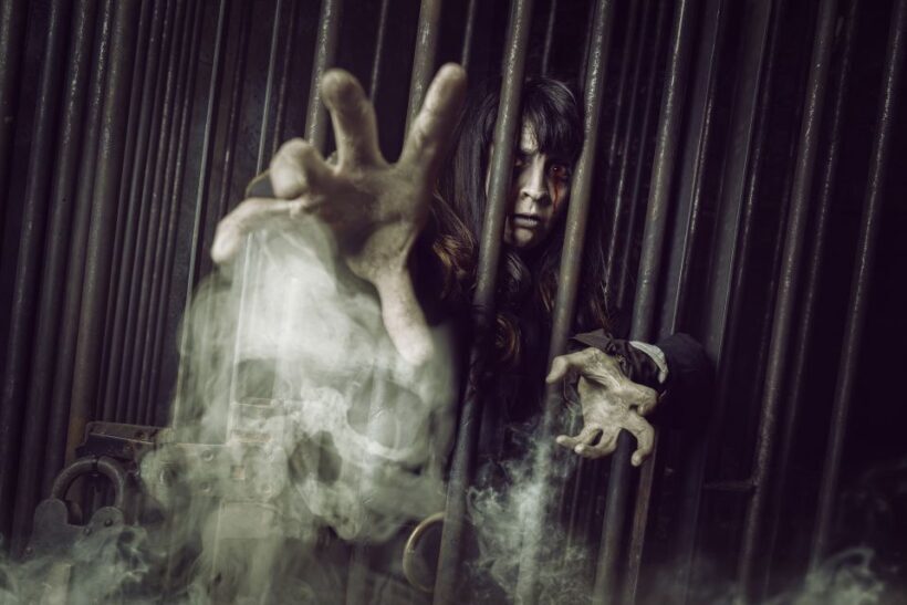 York: The York Dungeon Entry Ticket - Value and Price Analysis