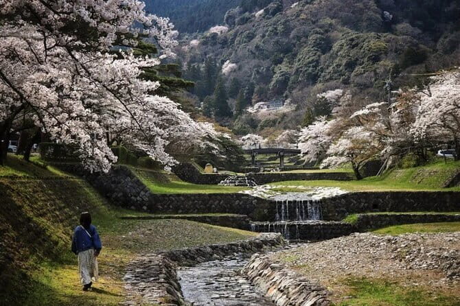 Yoro Falls and Mt. Gozaisho Scenic Ropeway from Nagoya - Key Points