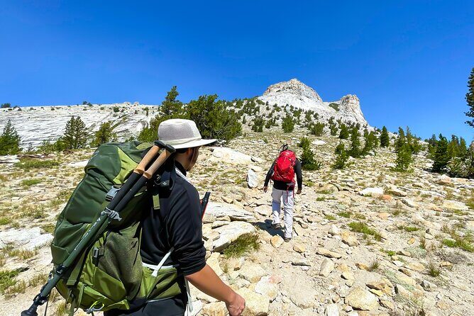 Yosemite: A Guided Father & Son Adventure - An In-Depth Look at the Yosemite Private Guided Tour