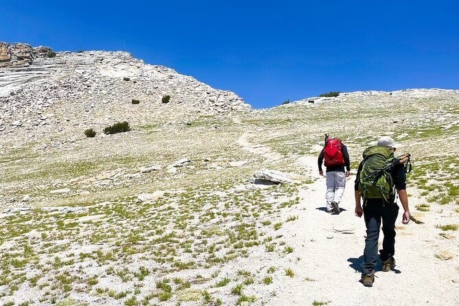 Yosemite: A Guided Father & Son Adventure - The Sum Up