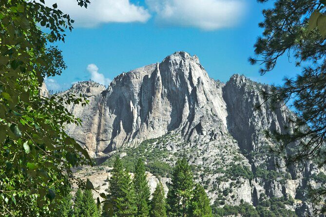 Yosemite Adventure: Full-Day Private Tour from San Francisco - The Experience of a Full Day in Yosemite