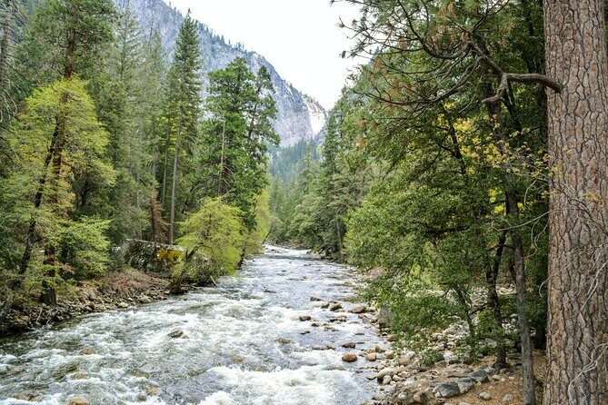 Yosemite Adventure: Full-Day Private Tour from San Francisco - Authentic Reviews and Insights