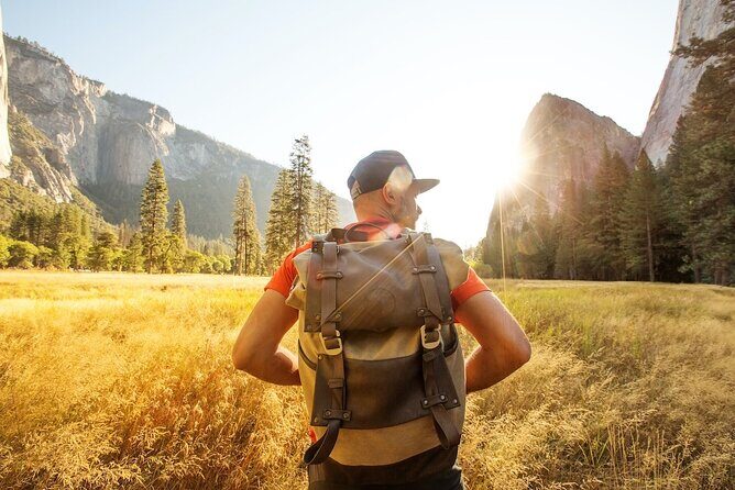 Yosemite and Giant Sequoias Day Tour - The Itinerary: What to Expect
