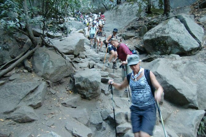 Yosemite Day Hike from Glacier Point Including Panorama Trail - A Full Day of Yosemite Beauty: What to Expect