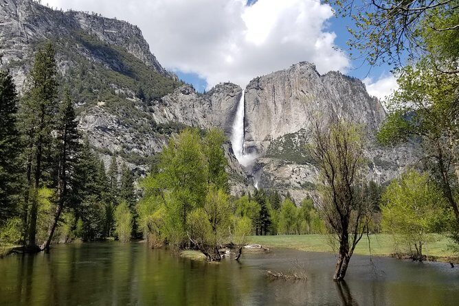 Yosemite Day Tour - An Introduction to the Yosemite Day Tour