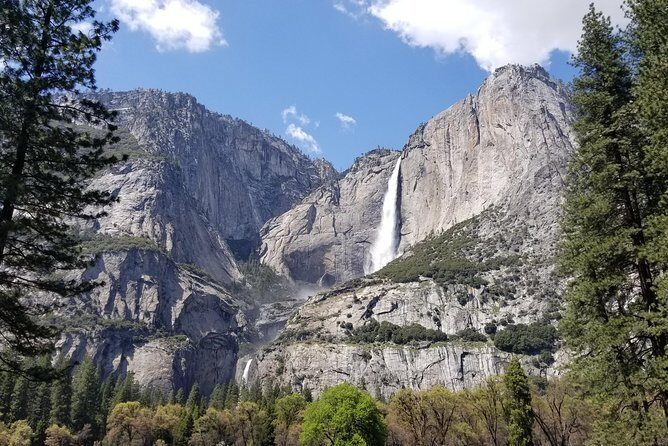 Yosemite Day Tour - Pricing and Value Considerations