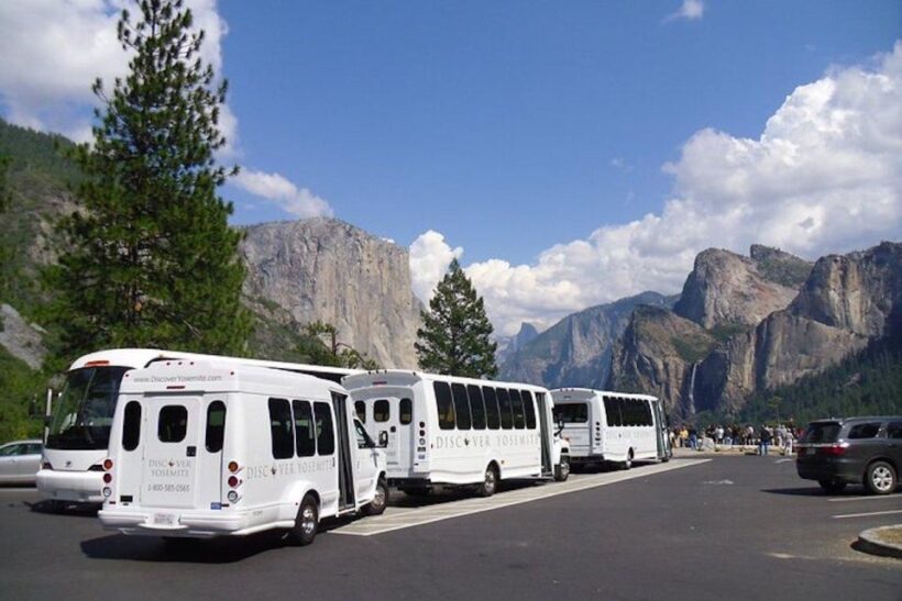 Yosemite: Full-Day Tour with Lunch and Hotel Pick-up - Who Should Book This Tour?
