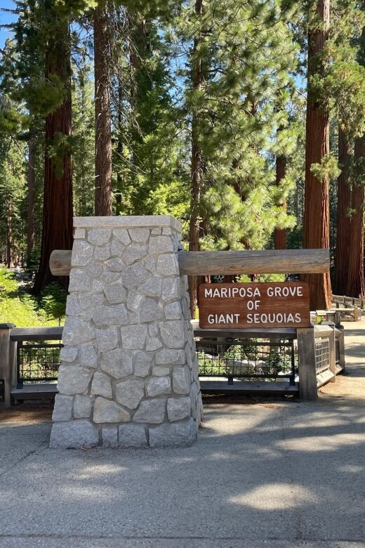 Yosemite, Giant Sequoias, Private Tour from San Francisco - Introduction: Why Choose This Yosemite Private Tour?