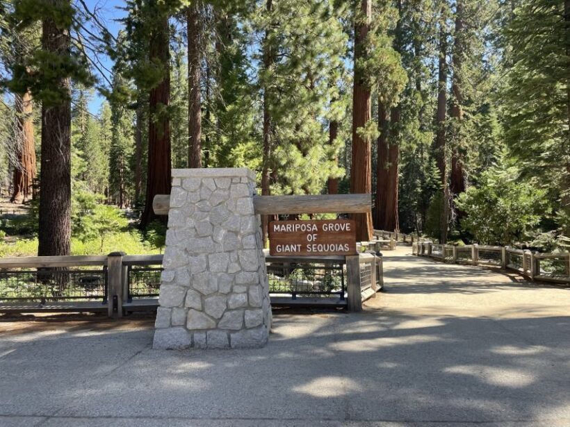 Yosemite, Giant Sequoias, Private Tour from San Francisco - The Journey: What to Expect Day by Day