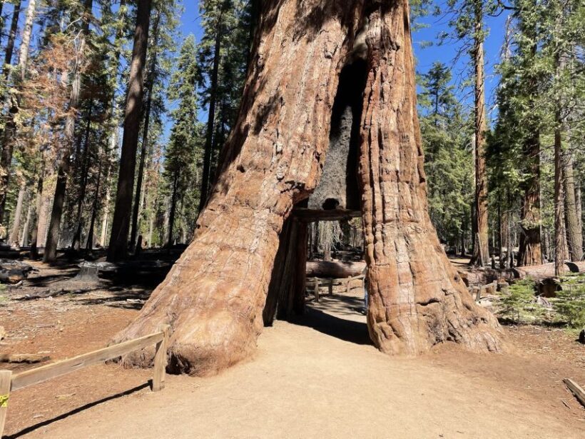 Yosemite, Giant Sequoias, Private Tour from San Francisco - Pricing and Value