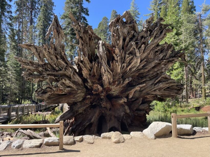 Yosemite, Giant Sequoias, Private Tour from San Francisco - The Sum Up: Is This Tour Right for You?