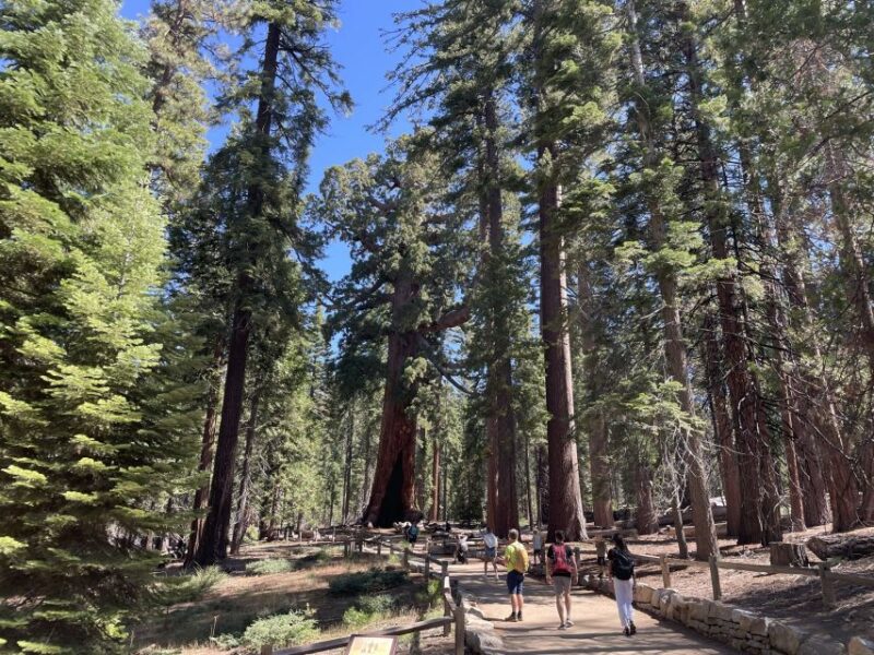 Yosemite, Giant Sequoias, Private Tour from San Francisco - Who Would Love This Tour?