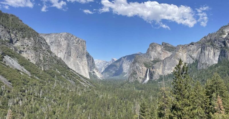 Yosemite, Giant Sequoias, Private Tour from San Francisco - Final Thoughts