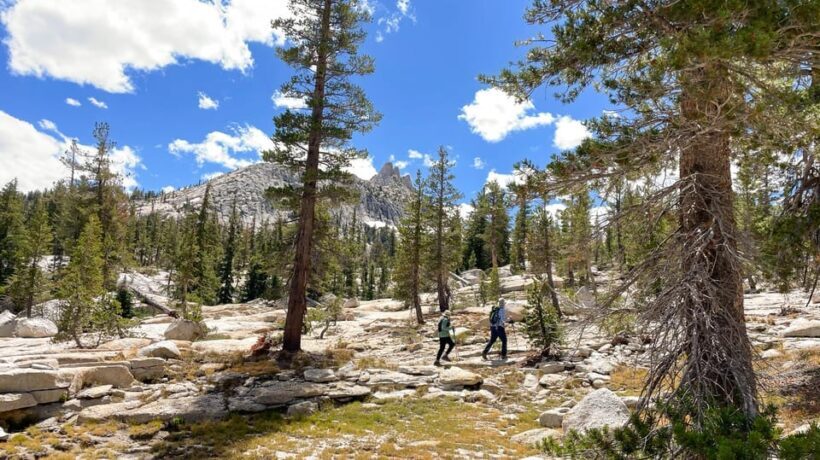 Yosemite: High Country Explorer - Private Hiking Tour - Practical Details: What You Need to Know