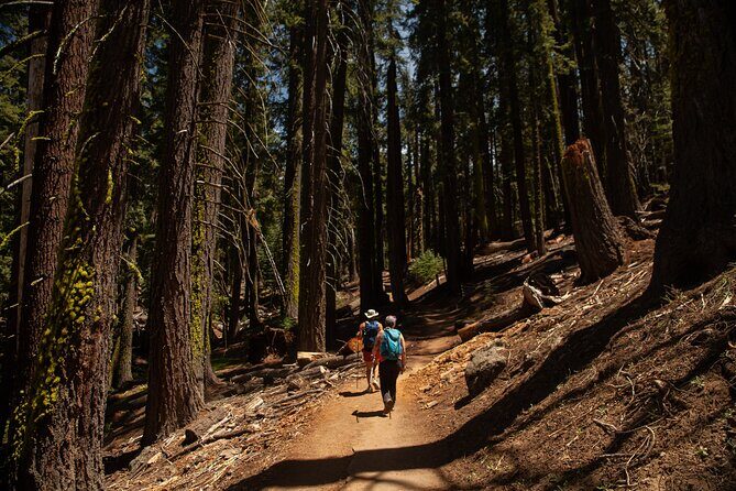 Yosemite High Country & Mariposa Full Day Small Group Tour & Hike - A Closer Look at the Yosemite High Country & Mariposa Tour