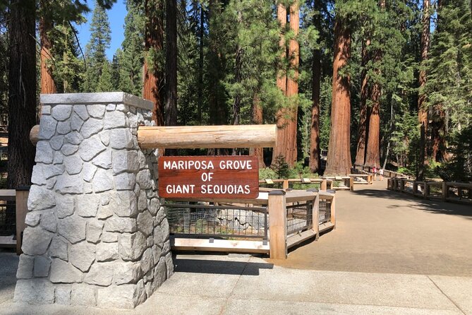 Yosemite Highlights Small Group Tour - The Itinerary Breakdown