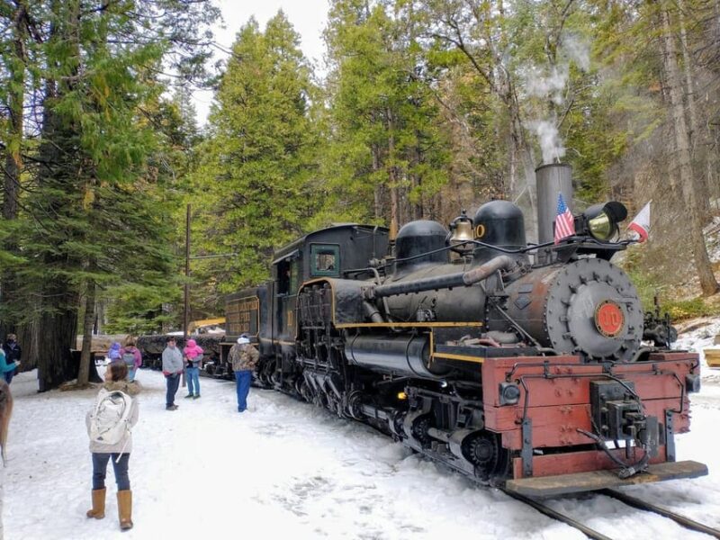 Yosemite Mountain Sugar Pine Railroad Ride with Narration - Authentic Experiences and Authenticity