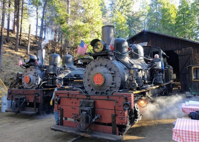 Yosemite Mountain Sugar Pine Railroad Ride with Narration - Practical Tips for Travelers