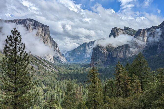 Yosemite National Park Day Tour with Optional Alcatraz - A Full-Day Safari into Yosemite’s Majesty