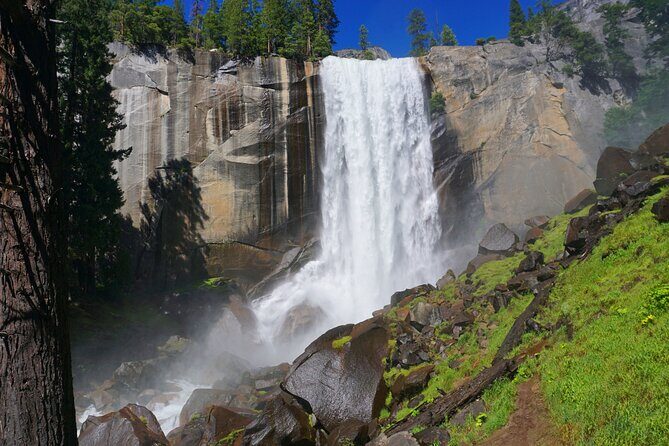 Yosemite National Park Private 1 Day Tour from San Francisco - Who Should Consider This Tour?