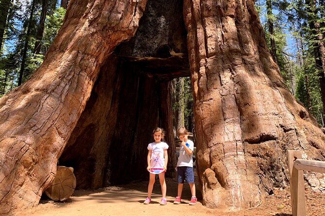 Yosemite Private Tour from San Francisco - An In-Depth Look at the Yosemite Private Tour