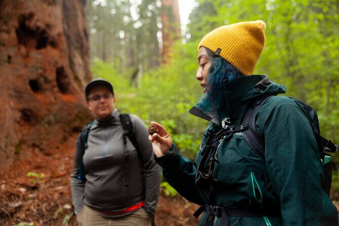 Yosemite Two Day Private Tour and Hike - A Thorough Breakdown of the Itinerary