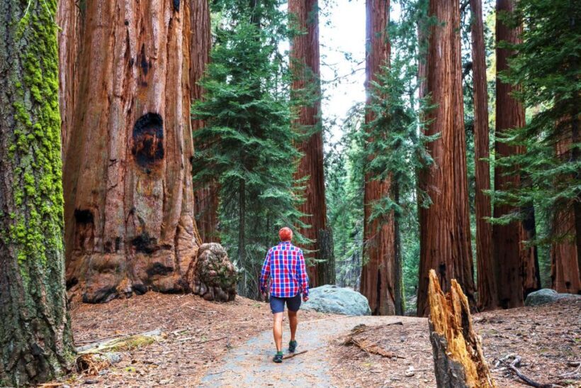 Yosemite Valley 3-Day Camping Adventure - Is This Tour Right for You?