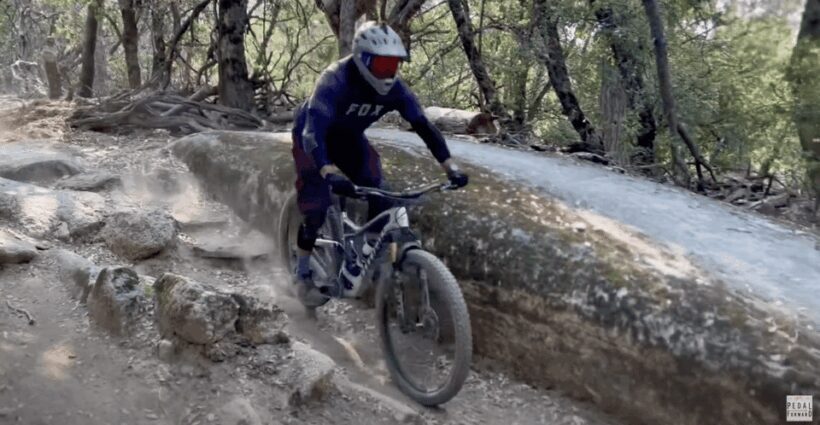 Yosemite Valley Area: Standard Bike Rental - The Sum Up: A Practical, Authentic Yosemite Adventure