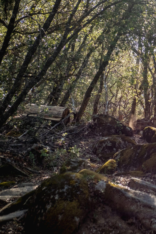 Yosemite Valley Area: Standard Bike Rental - FAQ