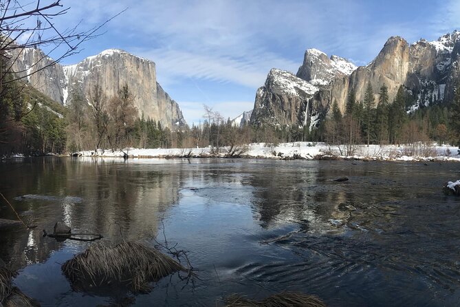Yosemite Valley Discovery Walk - Detailed Breakdown: What to Expect on the Yosemite Valley Discovery Walk