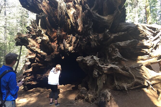 Yosemite Valley Discovery Walk - Transportation and Group Size: Why They Matter