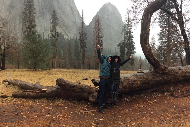 Yosemite Valley Discovery Walk - The Guide Experience: Knowledgeable and Enthusiastic
