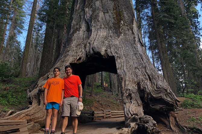 Yosemite Valley Discovery Walk - Who Should Consider This Tour?