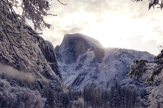 Yosemite Winter Highlights Small Group Tour - Authentic Insights from Reviewers