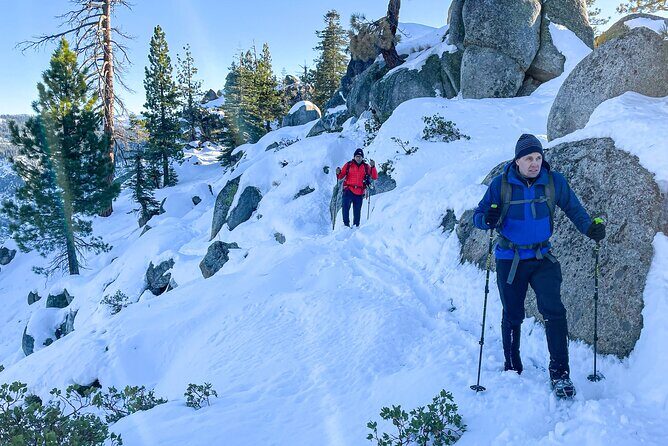 Yosemite Winter Wonderland Guided Hiking or Snowshoeing - The Value: Price, Quality, and Experience