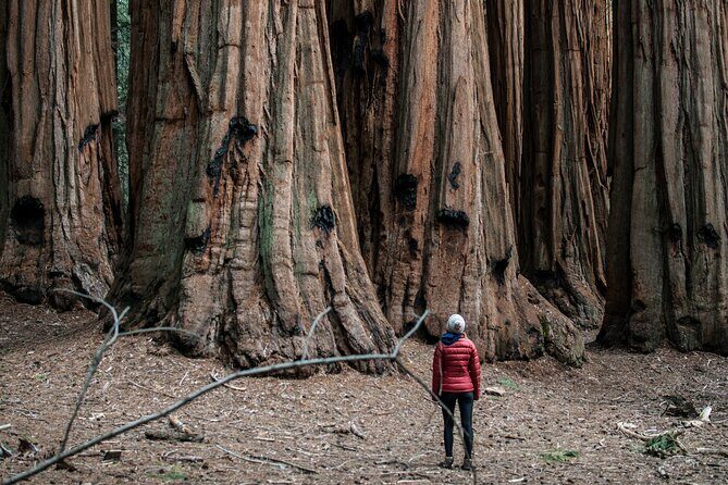 Yosemite Women's Only 3-Day Camping Adventure from San Francisco - The Sum Up: A Genuine Yosemite Adventure for the Curious and Courageous