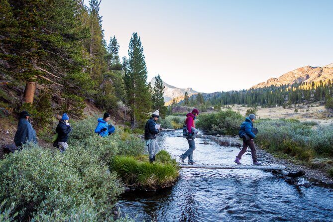 Yosemite Yoga & Hiking Adventure - An In-Depth Look at the Yosemite Yoga & Hiking Experience