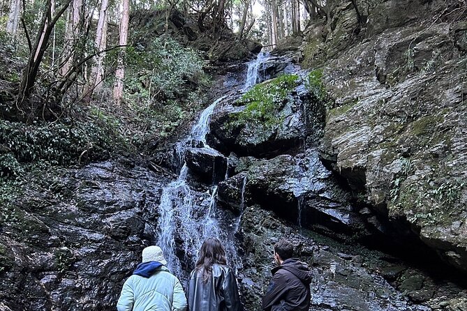 Yoshino Full Day Cycling + Hiking Tour - Tour Overview