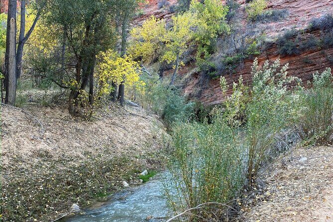 YOU DRIVE!! 4 Hr East Zion Guided UTV Tour - The Sum Up: Is It Worth It?