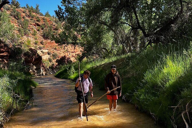 YOU DRIVE!! East Zion's Hidden Treasures - 4 Hr UTV Tour - A Practical Introduction to the East Zion UTV Experience