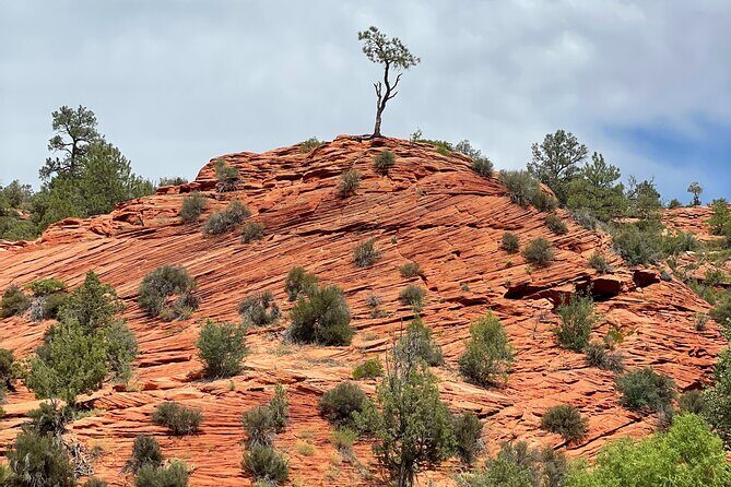 YOU DRIVE!! East Zion's Hidden Treasures - 4 Hr UTV Tour - Who Will Enjoy This Tour?