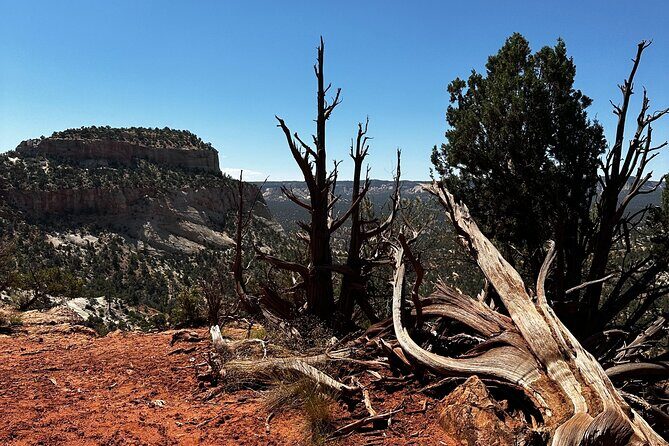 YOU DRIVE!! East Zion's Hidden Treasures - 4 Hr UTV Tour - Final Thoughts