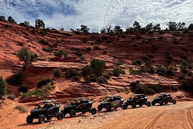 YOU DRIVE!! Rap & Ride - A Full Day of Rappelling and UTVs - Who Will Love This Tour?