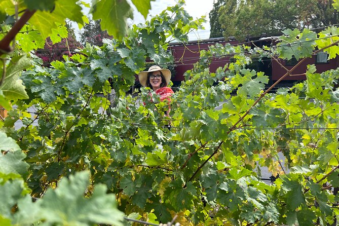 Yountville Food and Wine Tour in Napa - Customer Experiences and Feedback