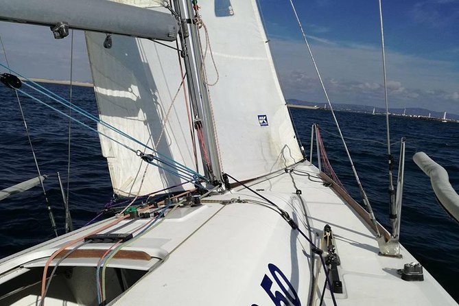 Your First Experience Sailing - Private Trip in Ria Formosa - Tailored Itinerary and Routing