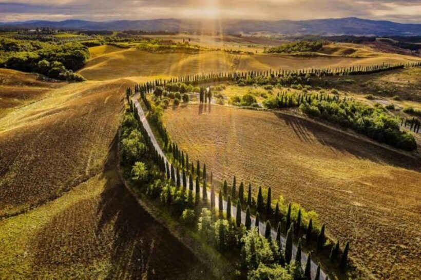 YOUR HONEYMOON IN TUSCANY: Private Chianti Wine Tasting Tour - Who Should Consider This Tour?